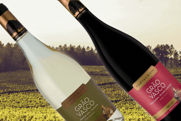Dia Wine